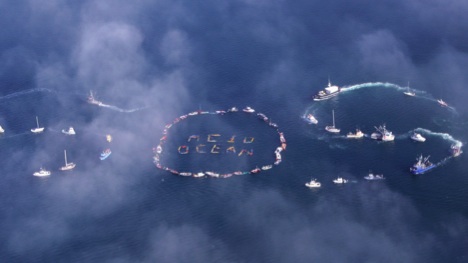 New Short Film Explains Ocean Acidification, Pathways For Solutions ...